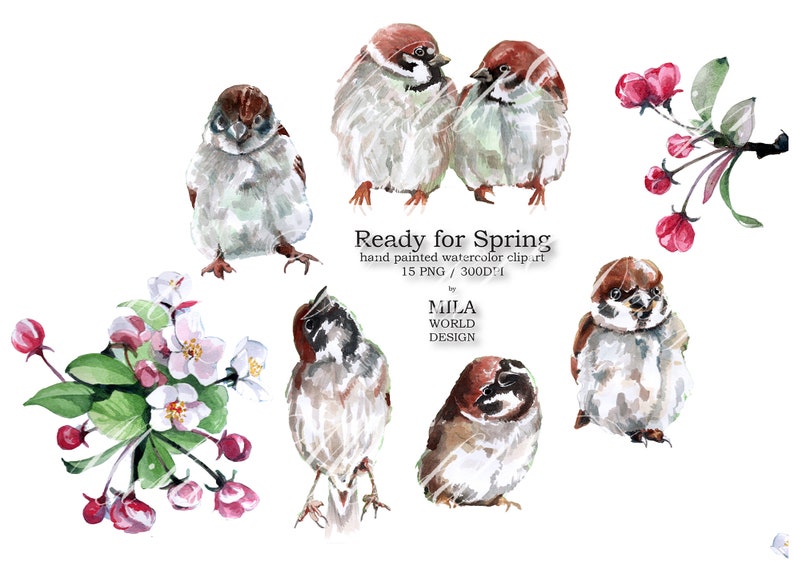 Ready for Spring Watercolor Clip Art Hand Painted Sparrow and - Etsy