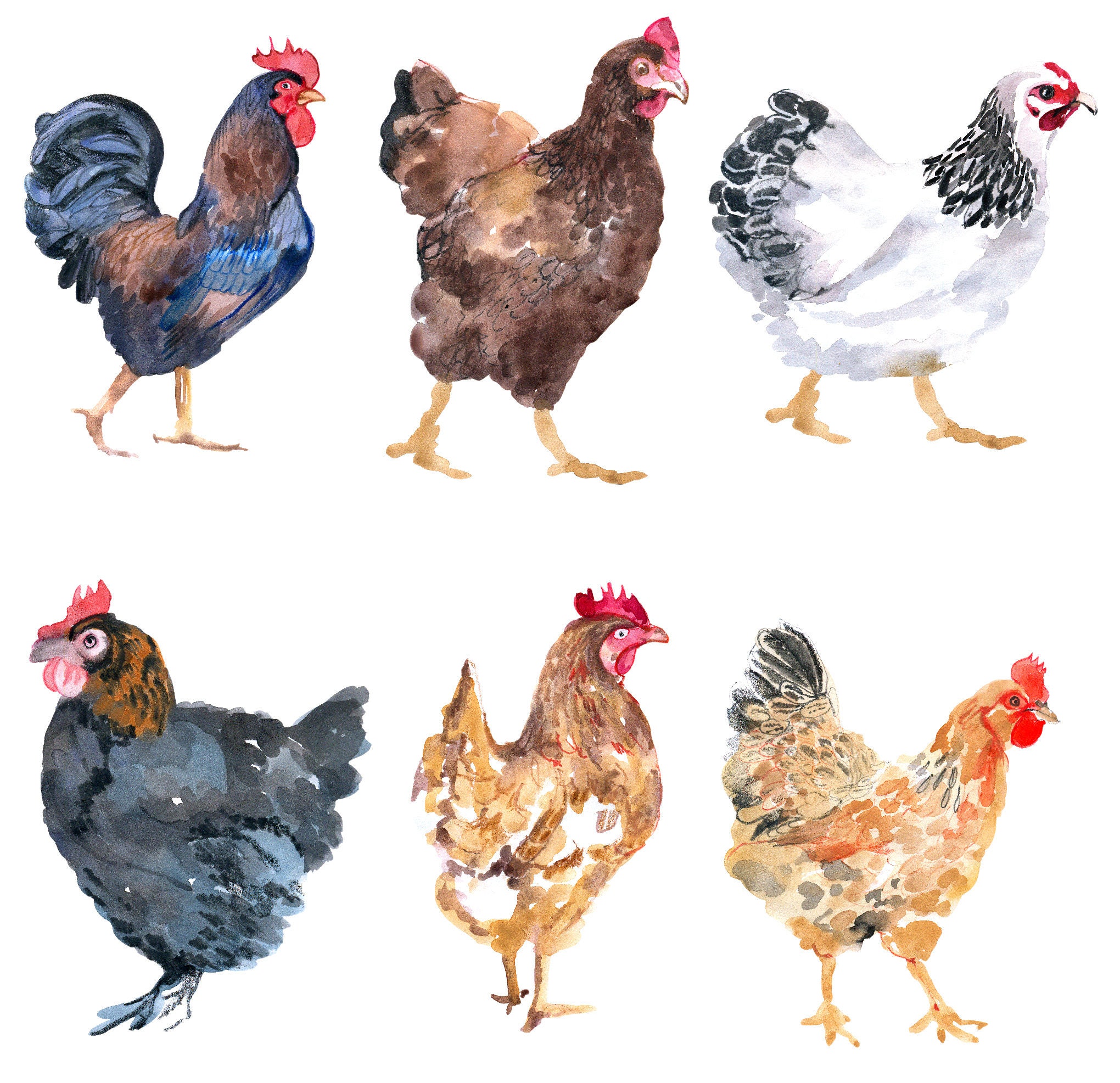 Watercolor Clip Art on the Farm Farmyard Clipart Watercolor - Etsy