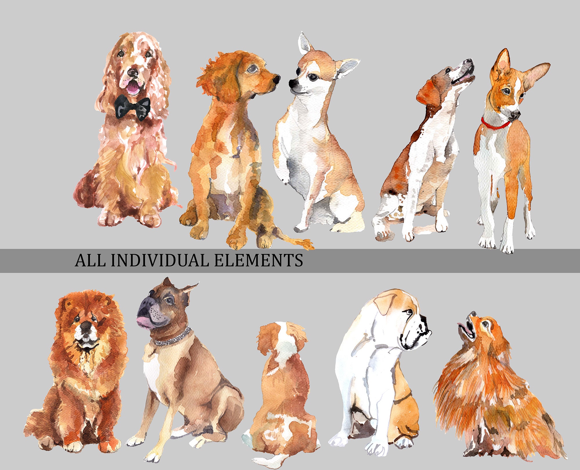 Watercolor Dog Collection, Hand Painted Elements, Pet Lovers Clipart ...