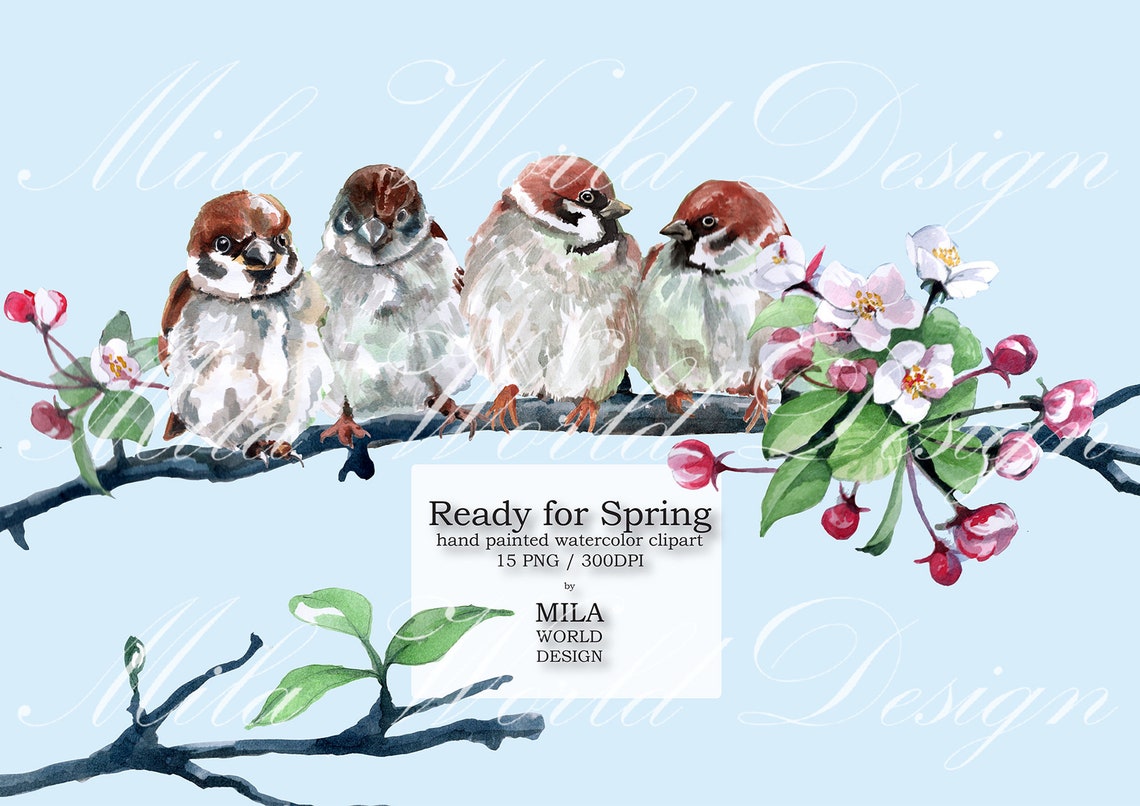 Ready for Spring Watercolor Clip Art Hand Painted Sparrow and - Etsy