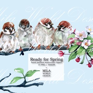 Ready for Spring Watercolor Clip Art, Hand Painted Sparrow and Cherry ...