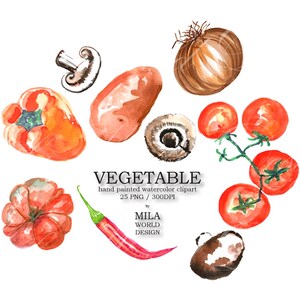 Vegetable Watercolor Clip Art, Hand Painted Vegan Food, Instant ...