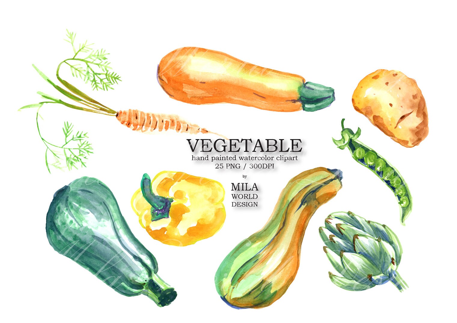 Vegetable Watercolor Clip Art, Hand Painted Vegan Food, Instant ...
