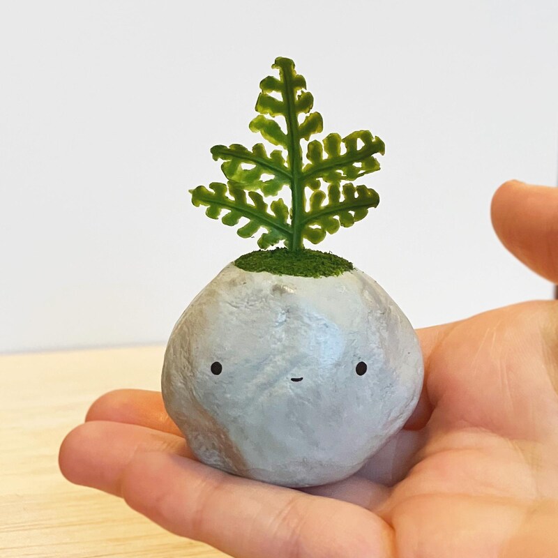 Pet Rock - Etsy