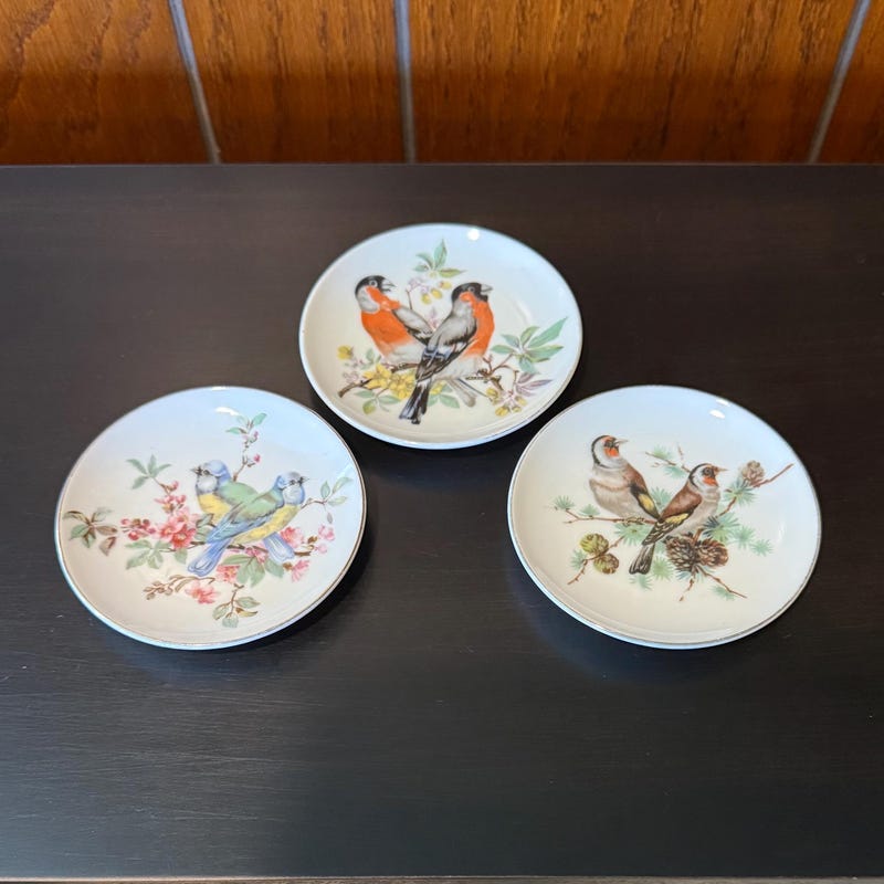Bird Plates - Etsy