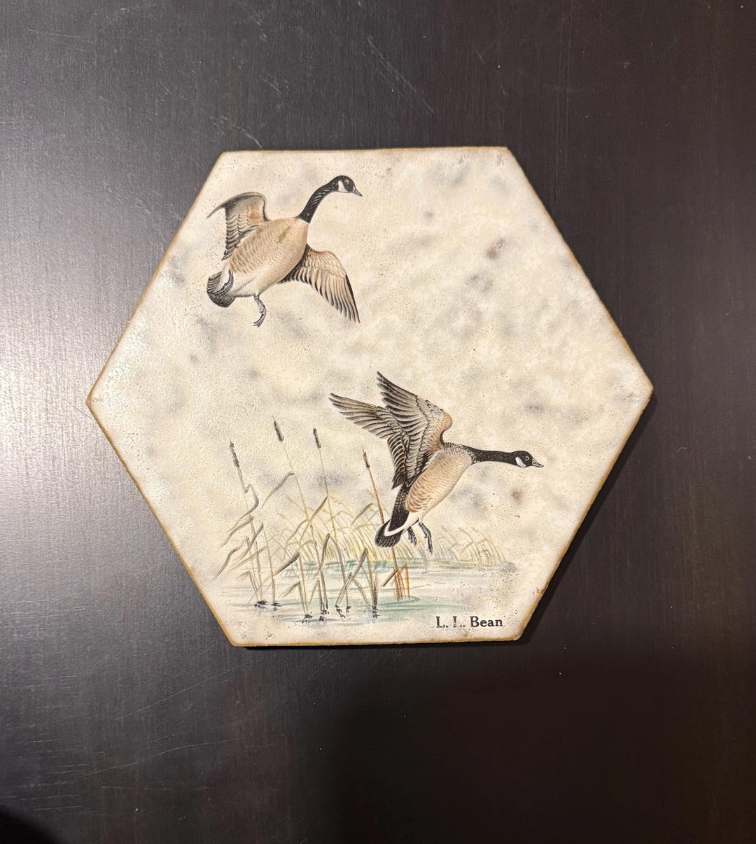 L.L. Bean Canada Goose Hexagon Ceramic Trivet - Etsy