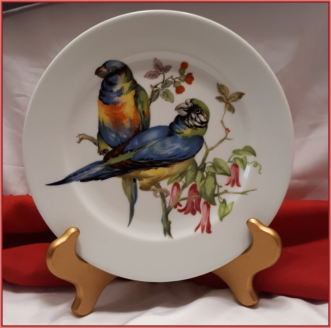 Shelf Plate Schumann Arzberg Germany Bavaria Porcelain - Parrots - Etsy