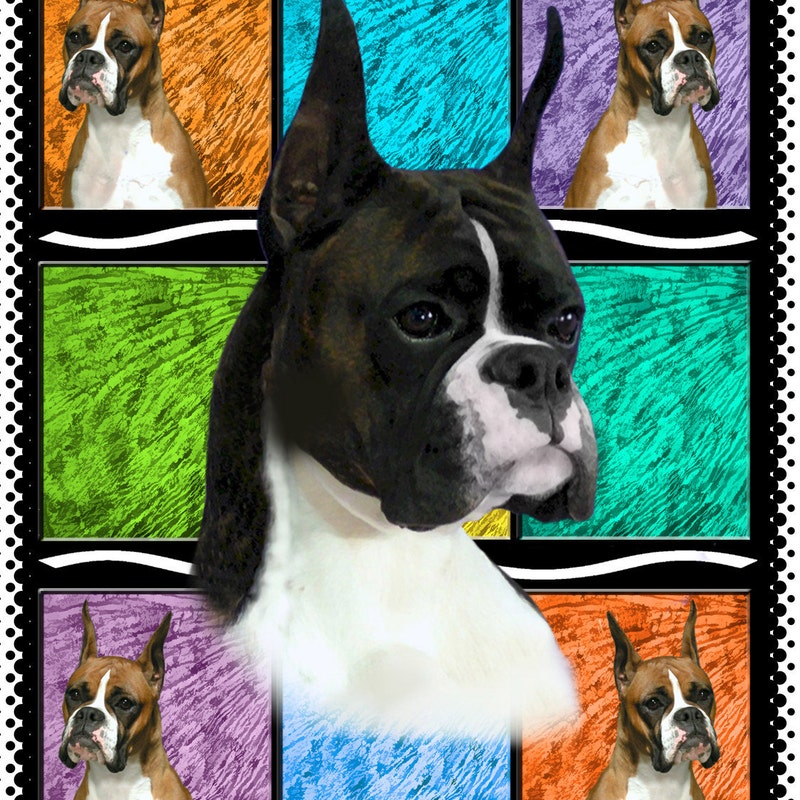 GADFLYNOTECARDS - Etsy