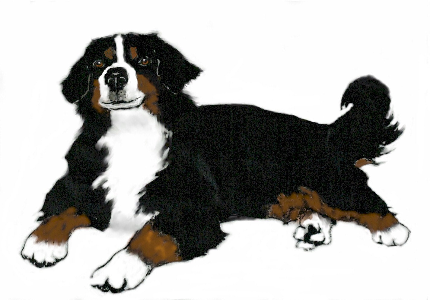 Bernese Mountain Dog 1 Cartoon Note Card - Etsy
