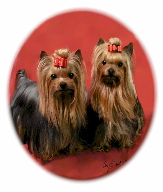 Yorkshire Terrier Yorkie 3 Note Cards - Etsy