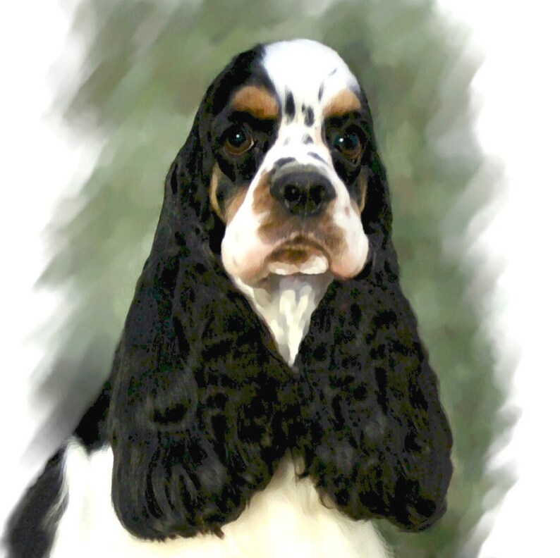 American Cocker Spaniel 2 Party Color Note Cards - Etsy