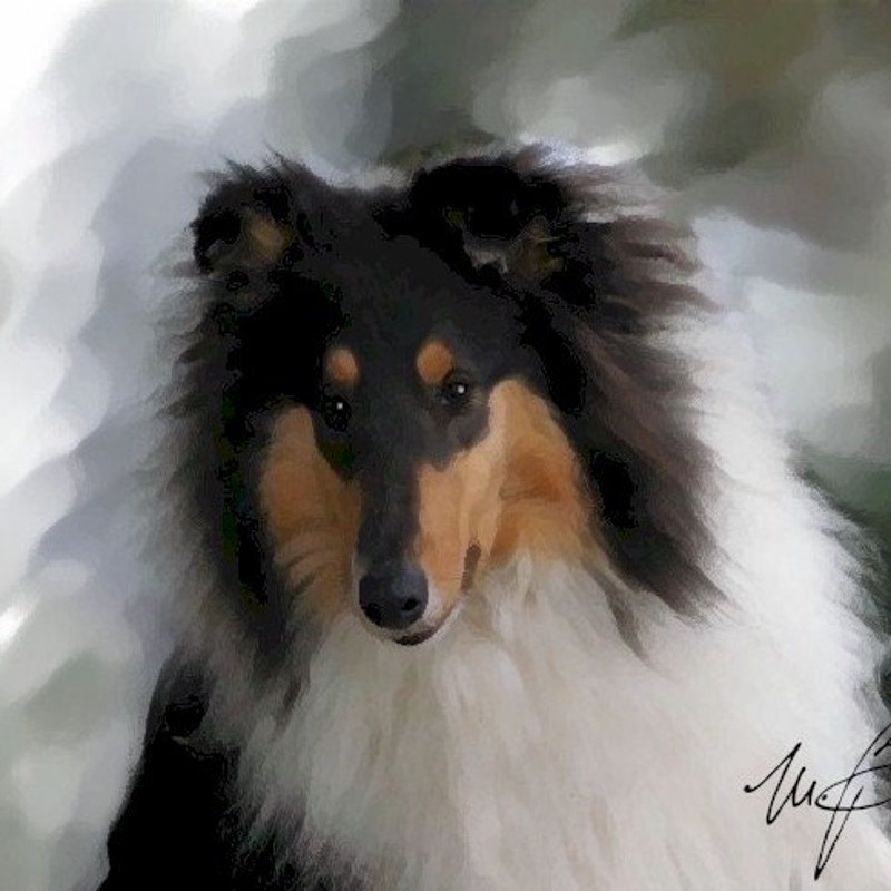 Rough Collie Art - Etsy