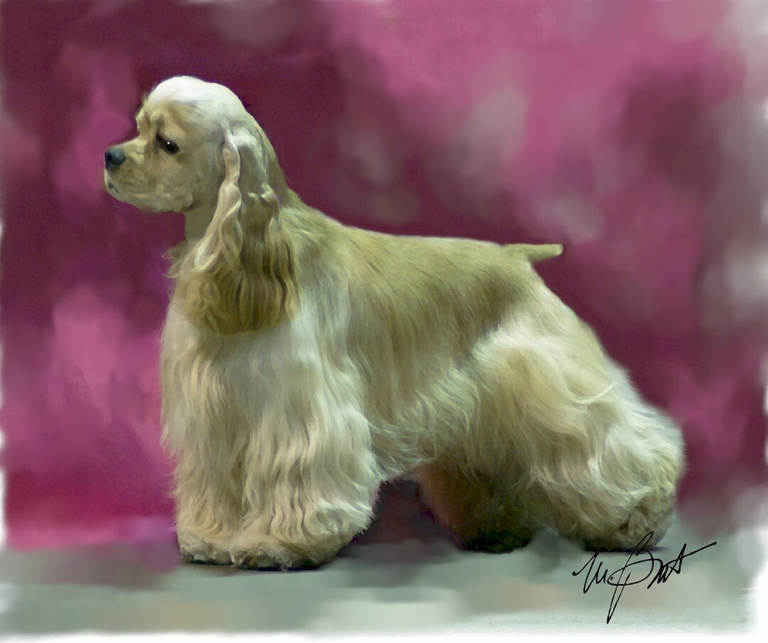 American Cocker Spaniel (buff) Note Cards - Etsy