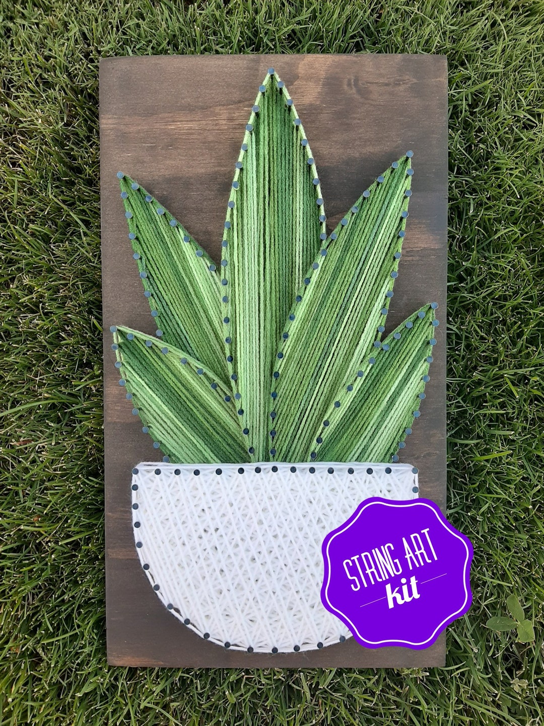 Succulent String Art Kit, DIY Craft, Make Your Own, Boho Decor - Etsy
