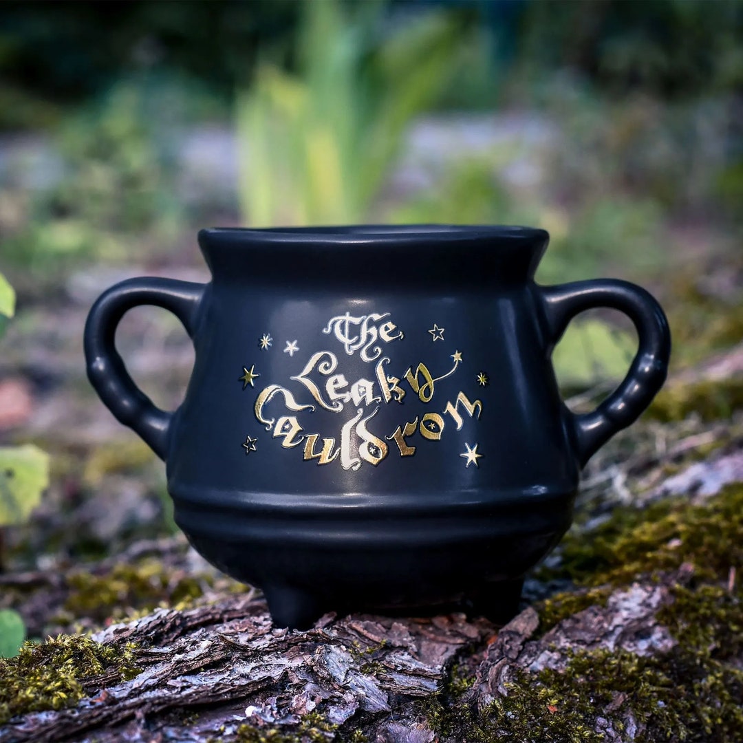 Will You Have a Cup of Tea? Ah Go On! - Cauldron Mug 325ml - Magically ...