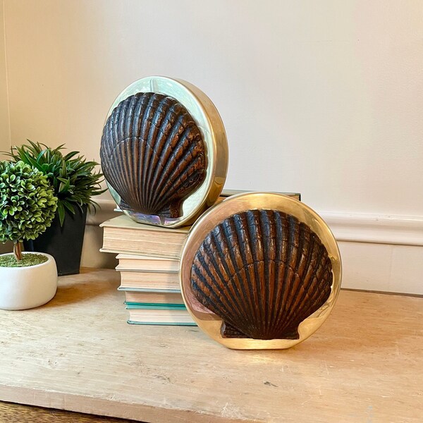 Shell Bookends - Etsy
