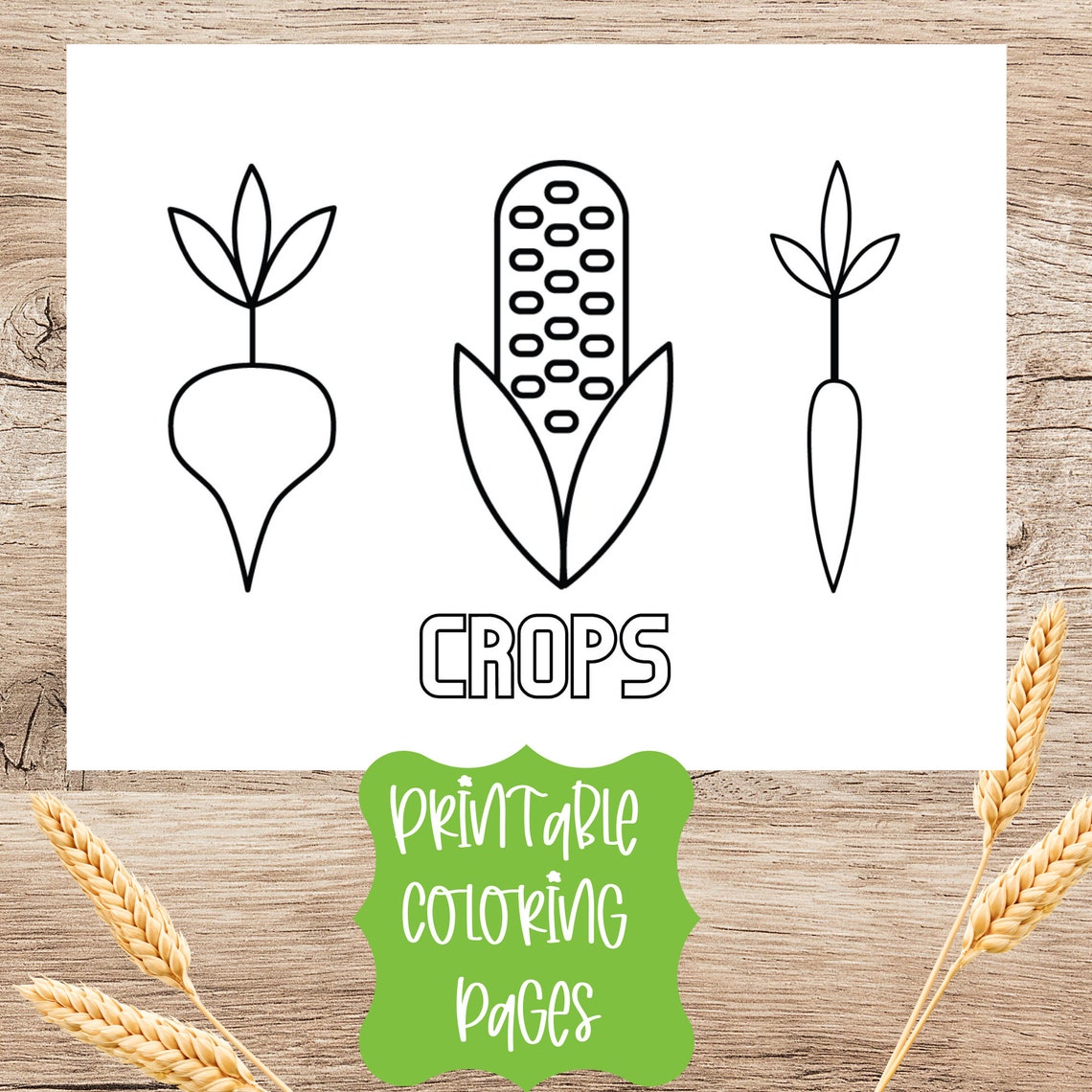 Farm Coloring Pages/ Farm Coloring Sheets/printable Black and White ...