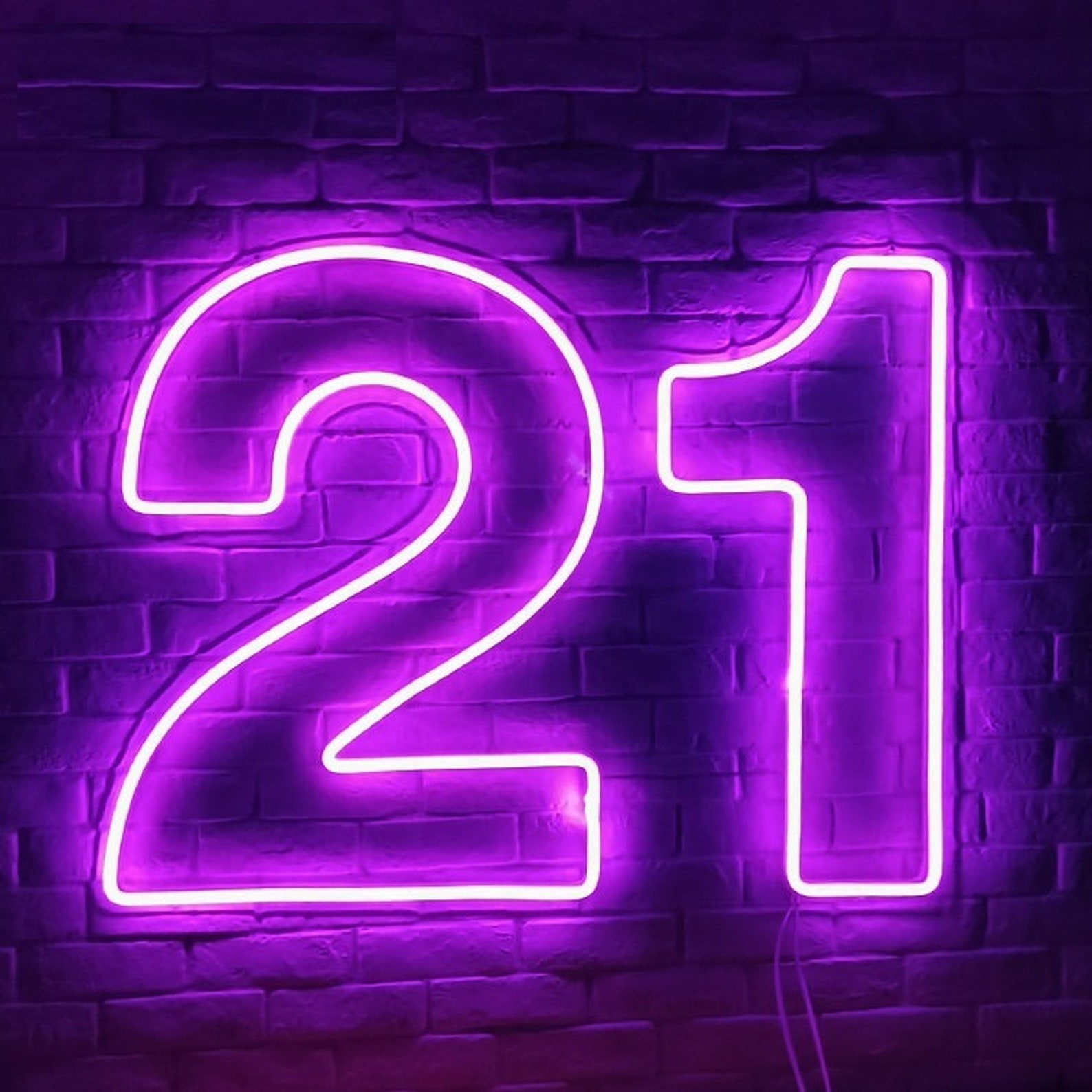 19" Tall Light up Numbers Neon Sign With Acrylic Board Wall Neon Decor ...
