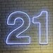 19 Tall Light up Numbers Neon Sign With Acrylic Plate Wall Neon Decor ...
