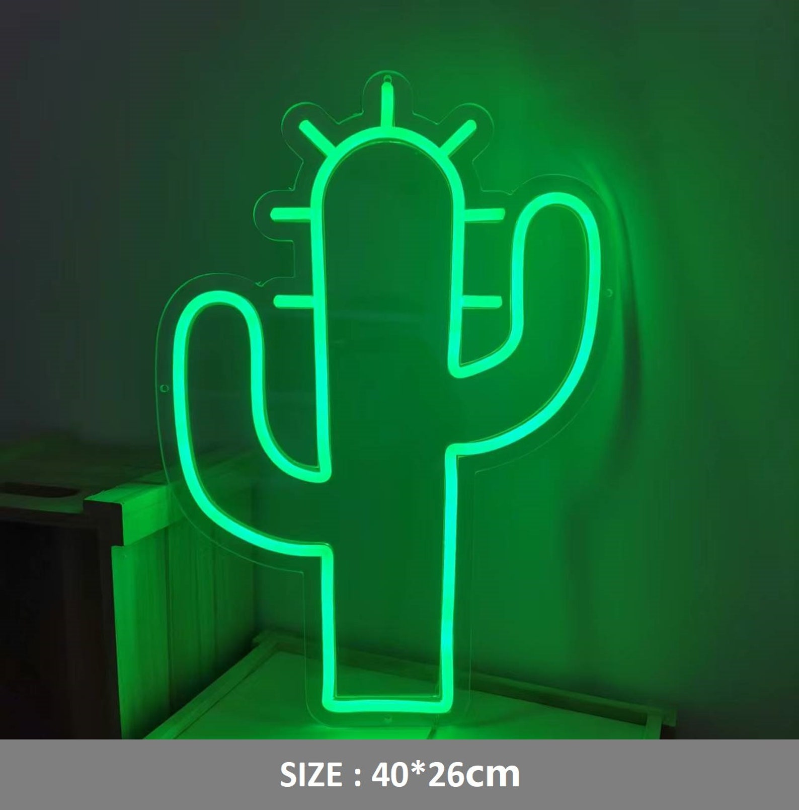 Cactus Neon Sign With Acrylic Board Mini Cactus Neon Lamp - Etsy