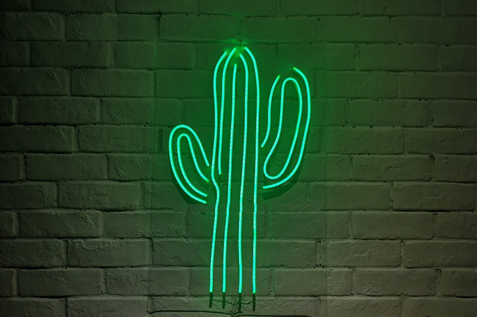 Cactus Neon Sign With Acrylic Plate USB Powered LED Neon Light - Etsy