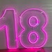 19 Tall Light up Numbers Neon Sign With Acrylic Plate Wall Neon Decor ...