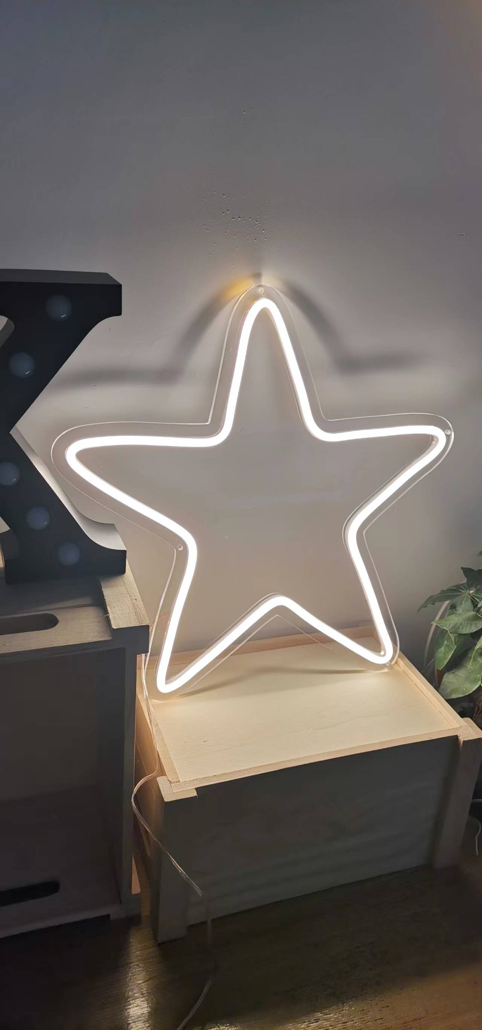 Warm White Star LED Neon Sign With Acrylic Board Neon Decor Neon Star ...