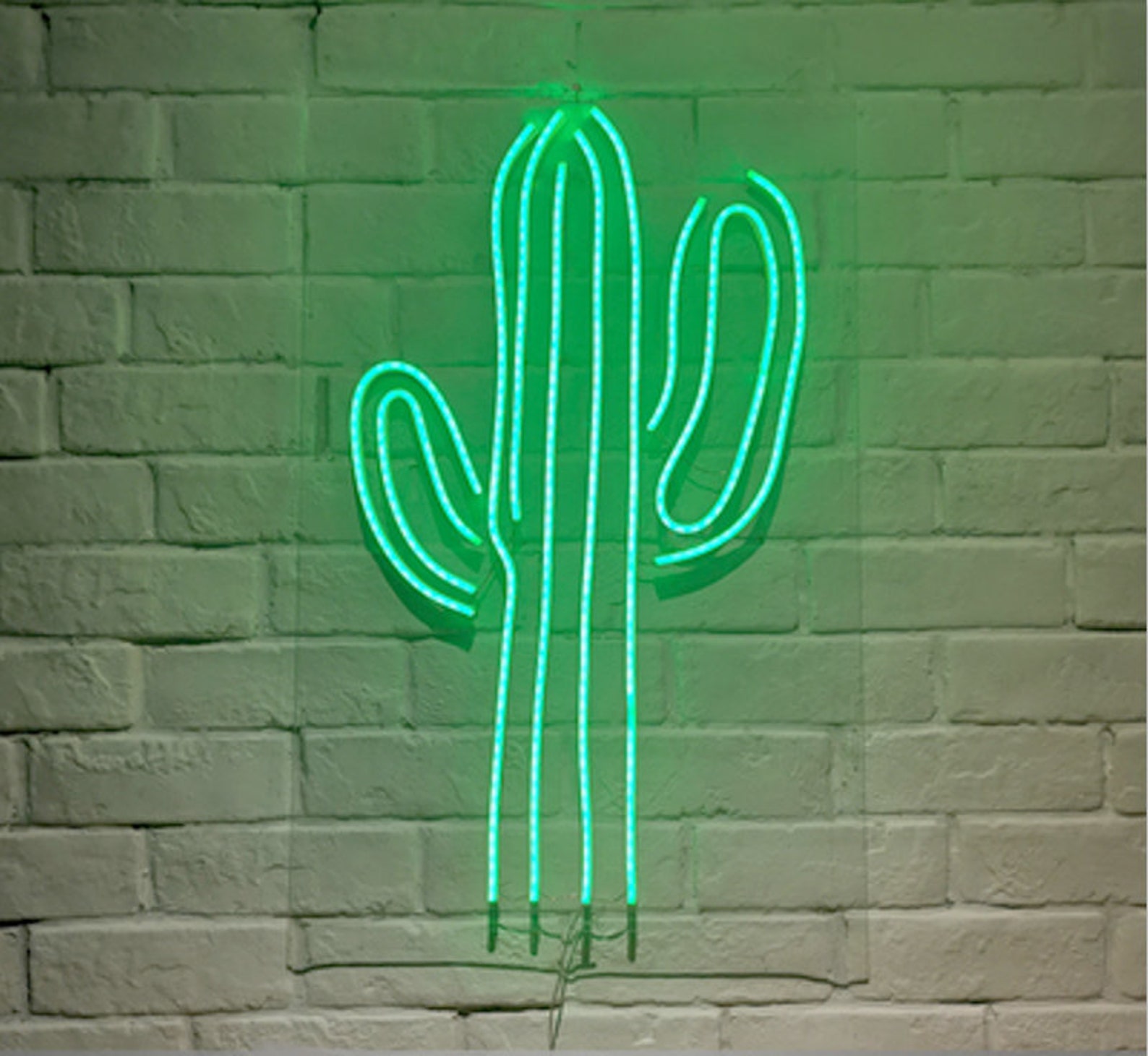 Cactus Neon Sign With Acrylic Plate USB Powered LED Neon Light - Etsy
