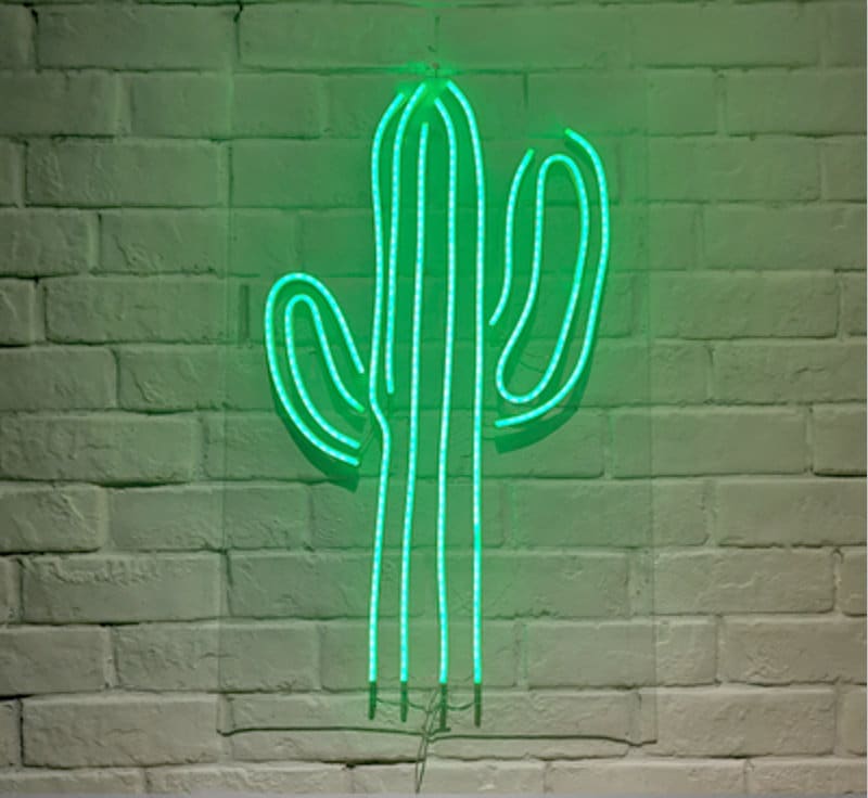 Cactus Neon Sign with Acrylic Plate USB Powered LED Neon Light | Etsy