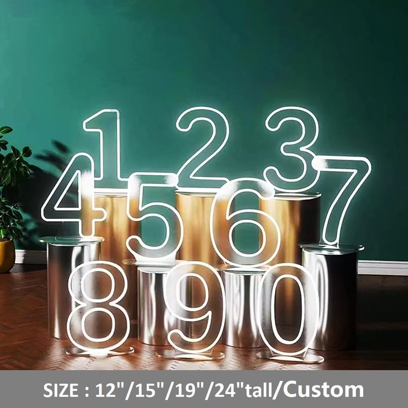 12 "-39" Tall Light up Numbers Neon Numbers Neon Letters Pary Birthday ...