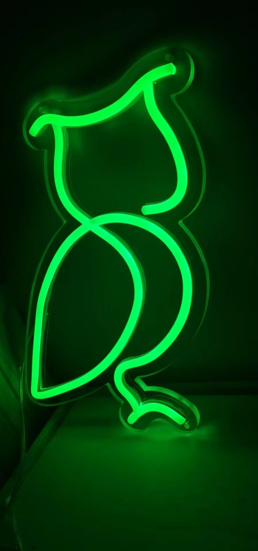 LED Animal Owl Acrylic Neon Sign Owl Flexible Neon Light - Etsy