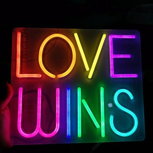 LOVE WINS Neon Sign With Acrylic Board Light up Letters Neon Letters ...