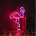 Pink Flamingo Neon Sign With Acrylic Plate Neon Decor Neon - Etsy