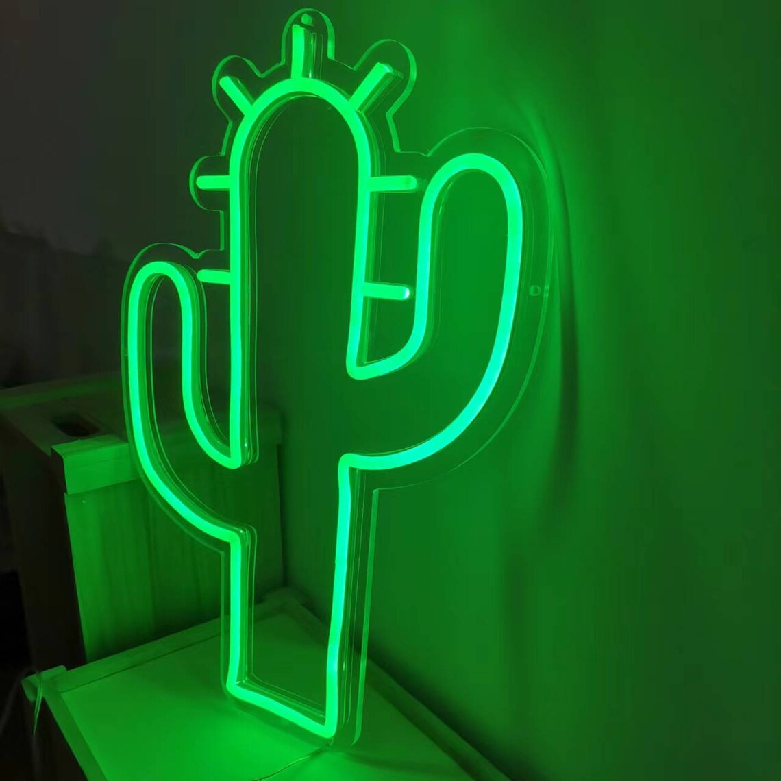 Cactus Neon Sign With Acrylic Board Mini Cactus Neon Lamp - Etsy