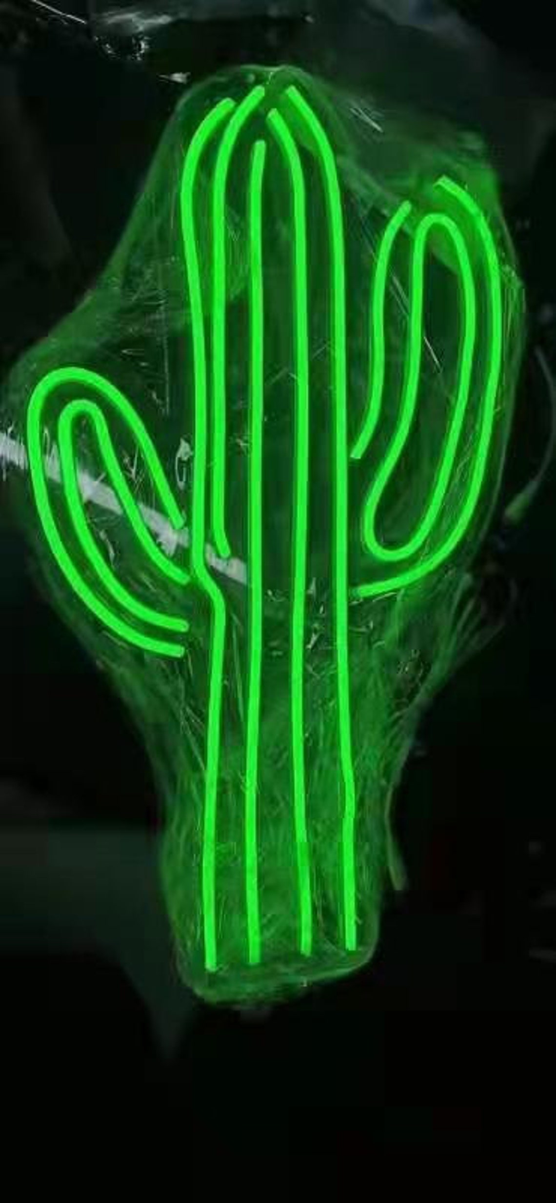 Cactus Neon Sign With Acrylic Plate USB Powered LED Neon Light - Etsy