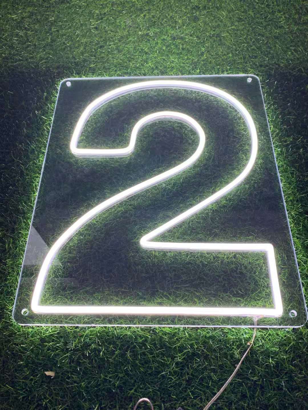 19 Tall Light up Numbers Neon Sign With Acrylic Plate - Etsy