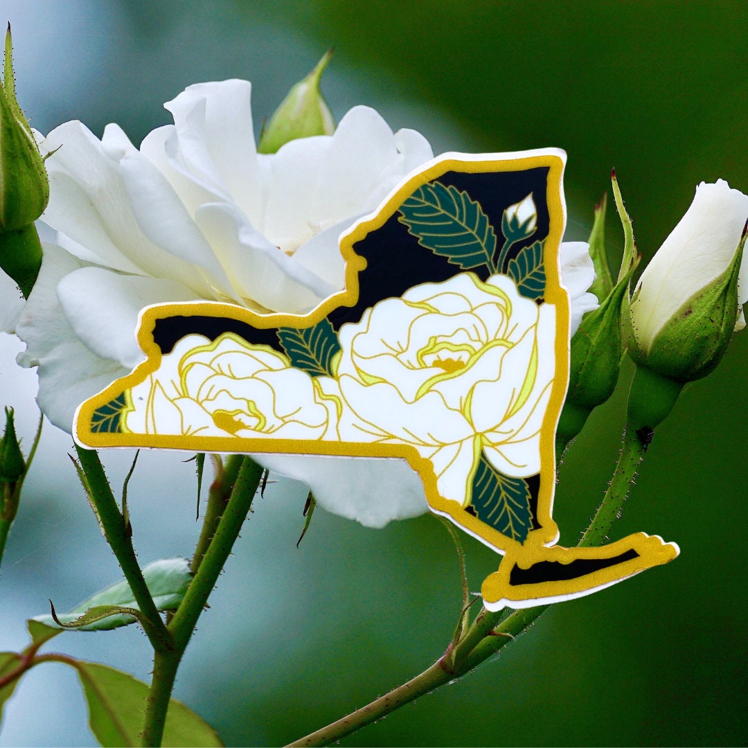New York Rose Sticker State Flower Series Vinyl Sticker - Waterproof ...