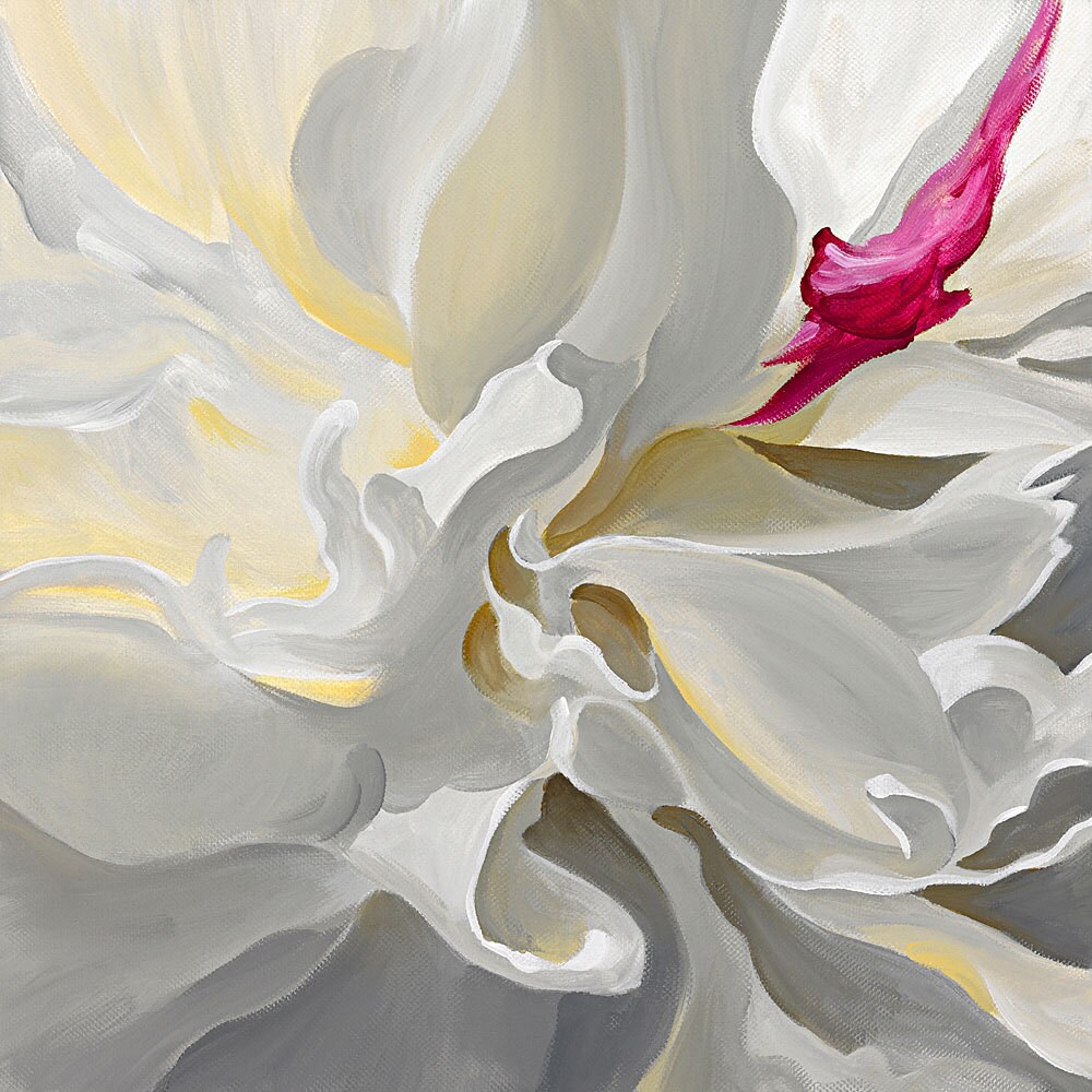 Metamorphosis a Peony Flower Limited Edition Print by Artist - Etsy
