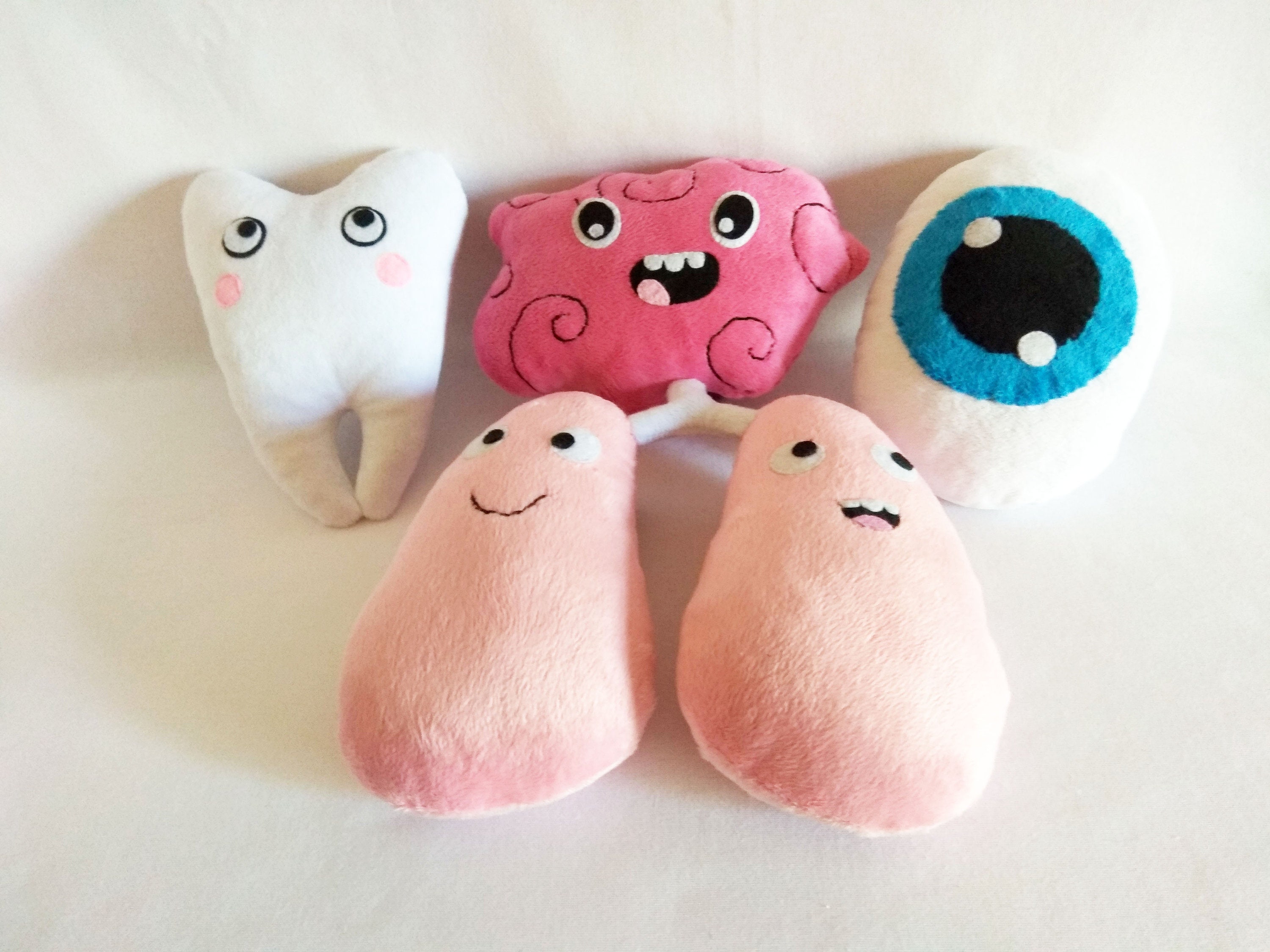Human Organ Pillows Kidneys Cusion Uterus Intestines - Etsy