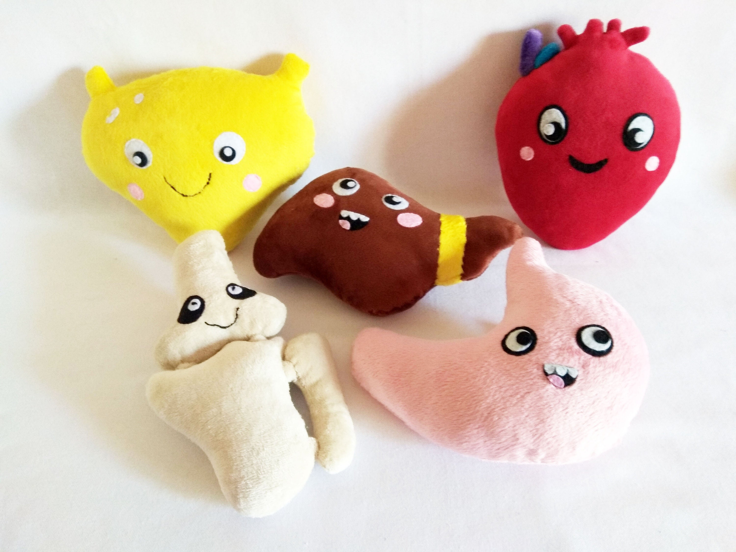 Human Organ Pillows Kidneys Cusion Uterus Intestines - Etsy