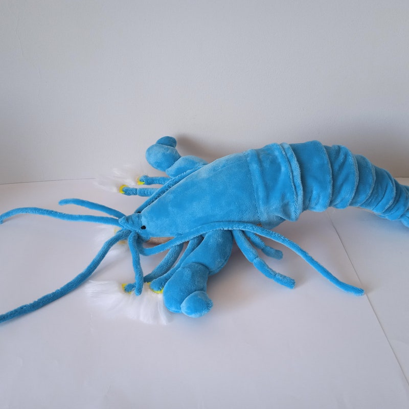 Insect Plush - Etsy