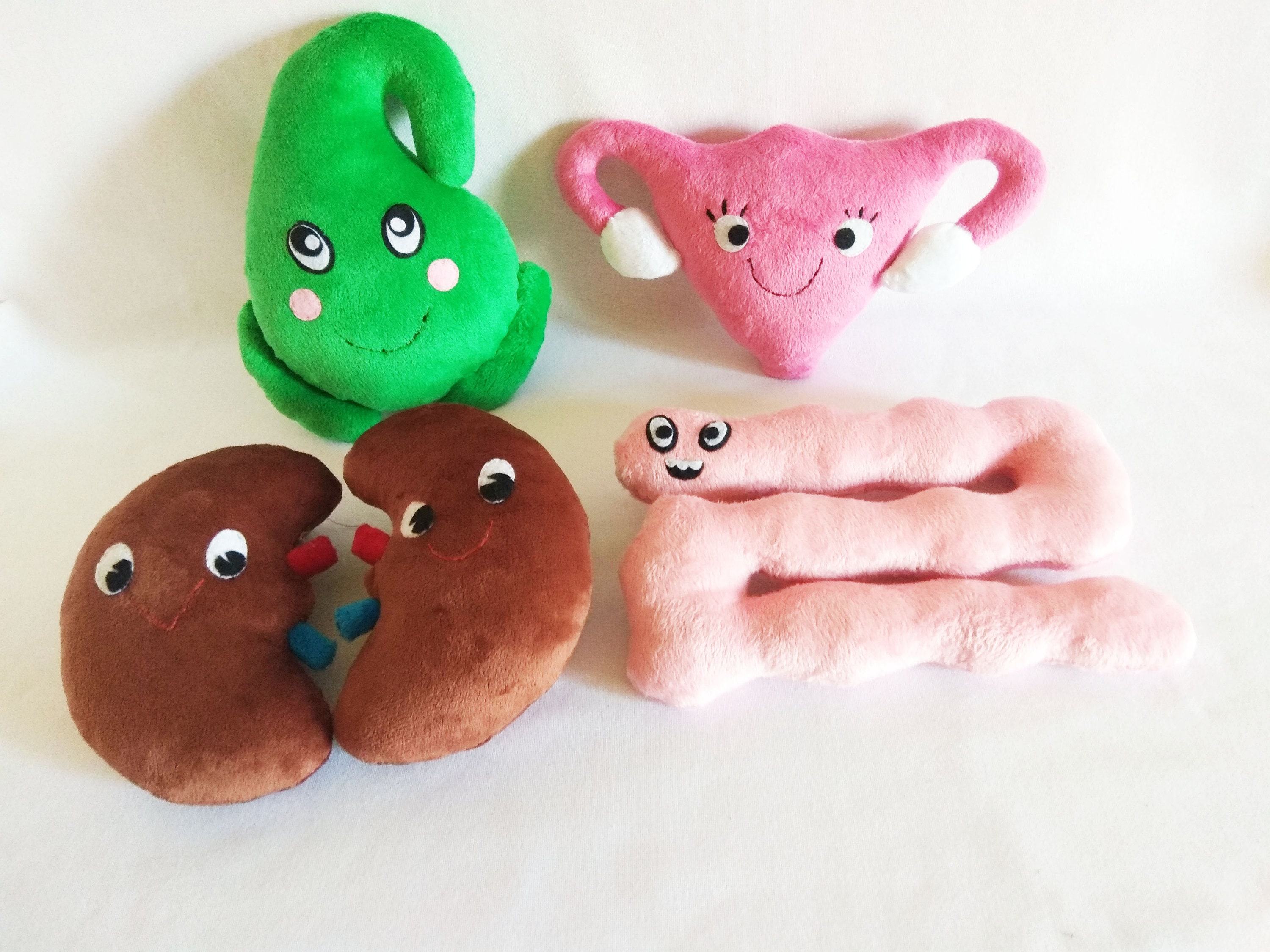Human Organ Pillows Kidneys Cusion Uterus Intestines - Etsy
