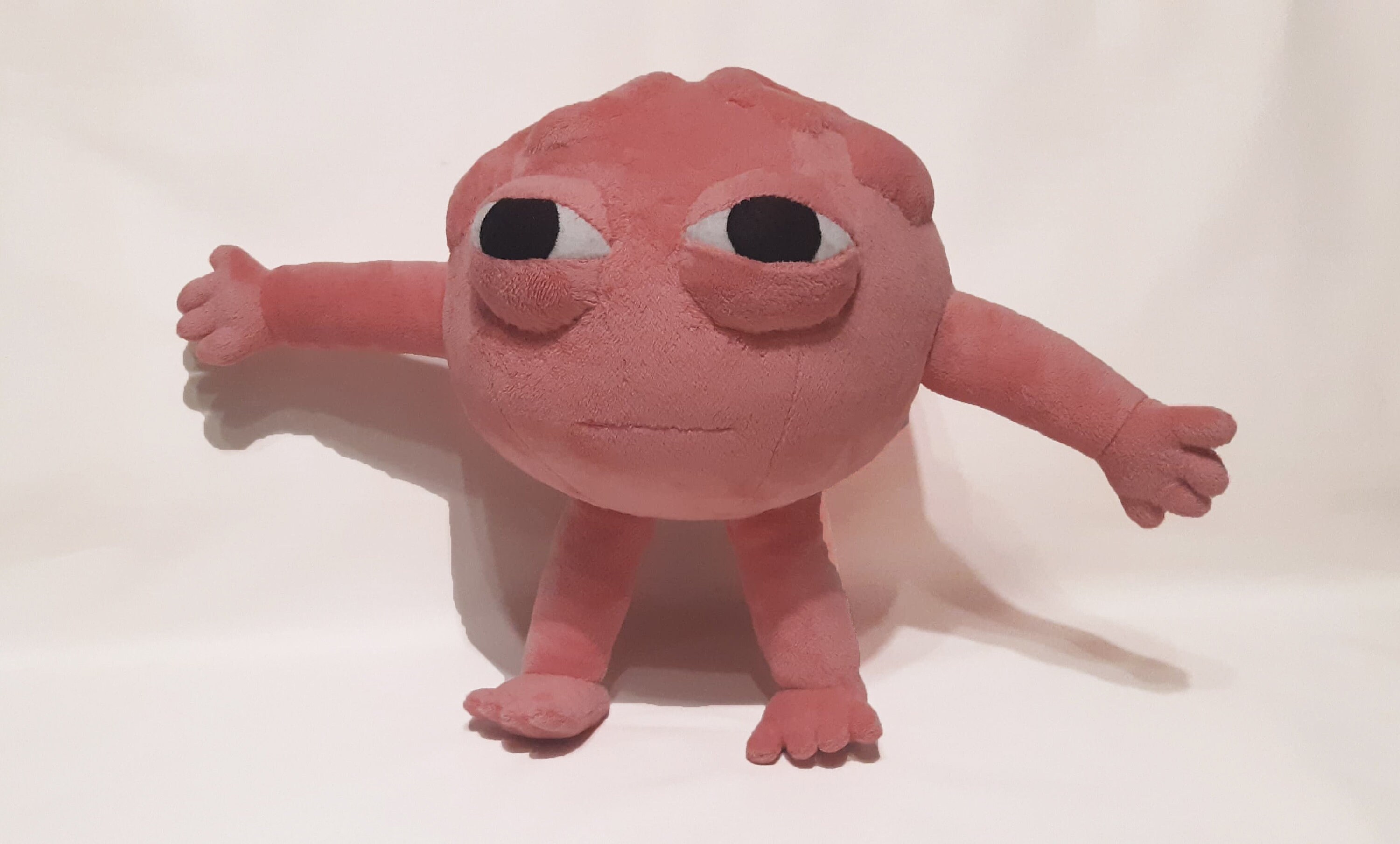 Custom Plush Just Like Brain From Lil Dicky Inspired Plush - Etsy UK