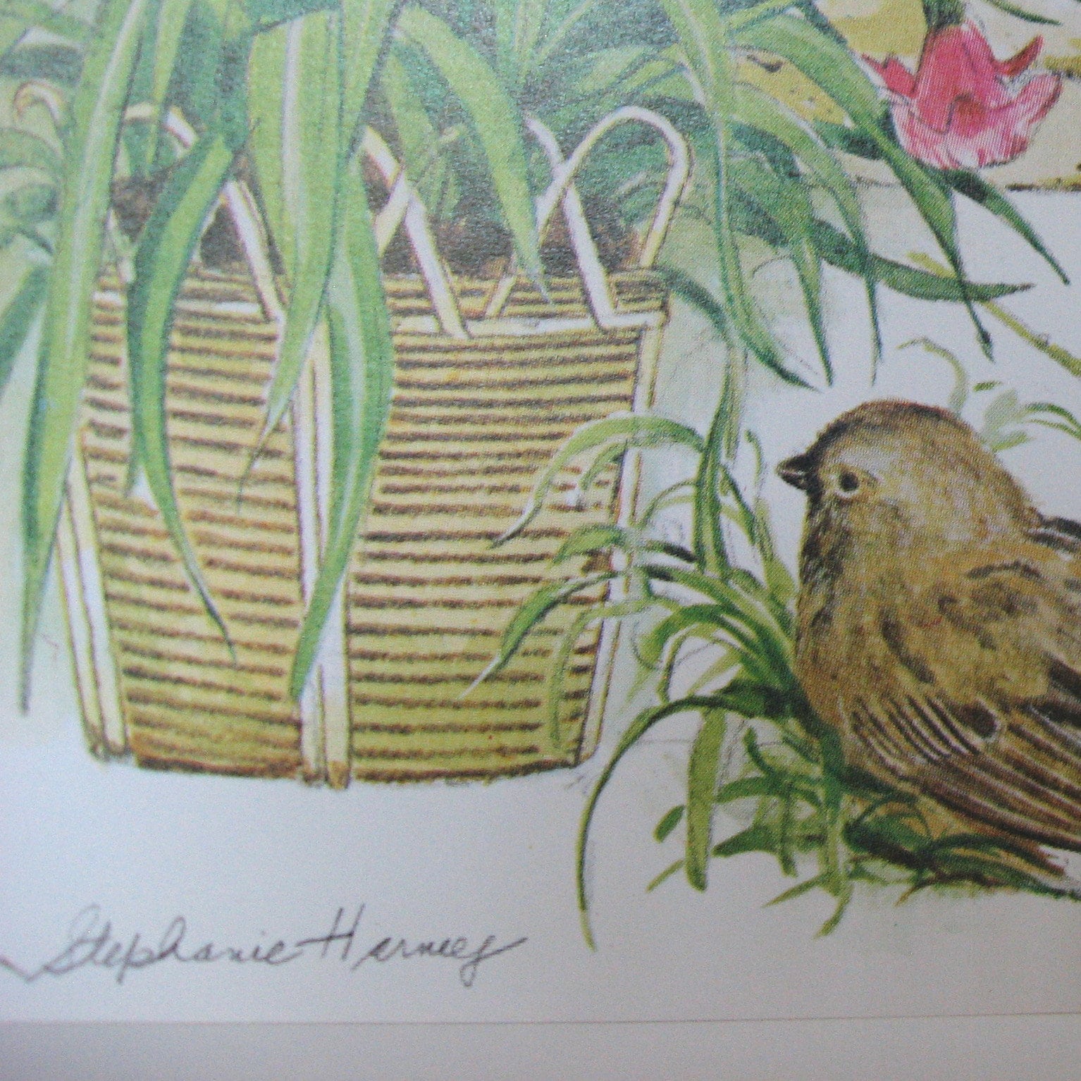 Vintage 1980 Stephanie Harney Print Two Hanging Plants With a - Etsy