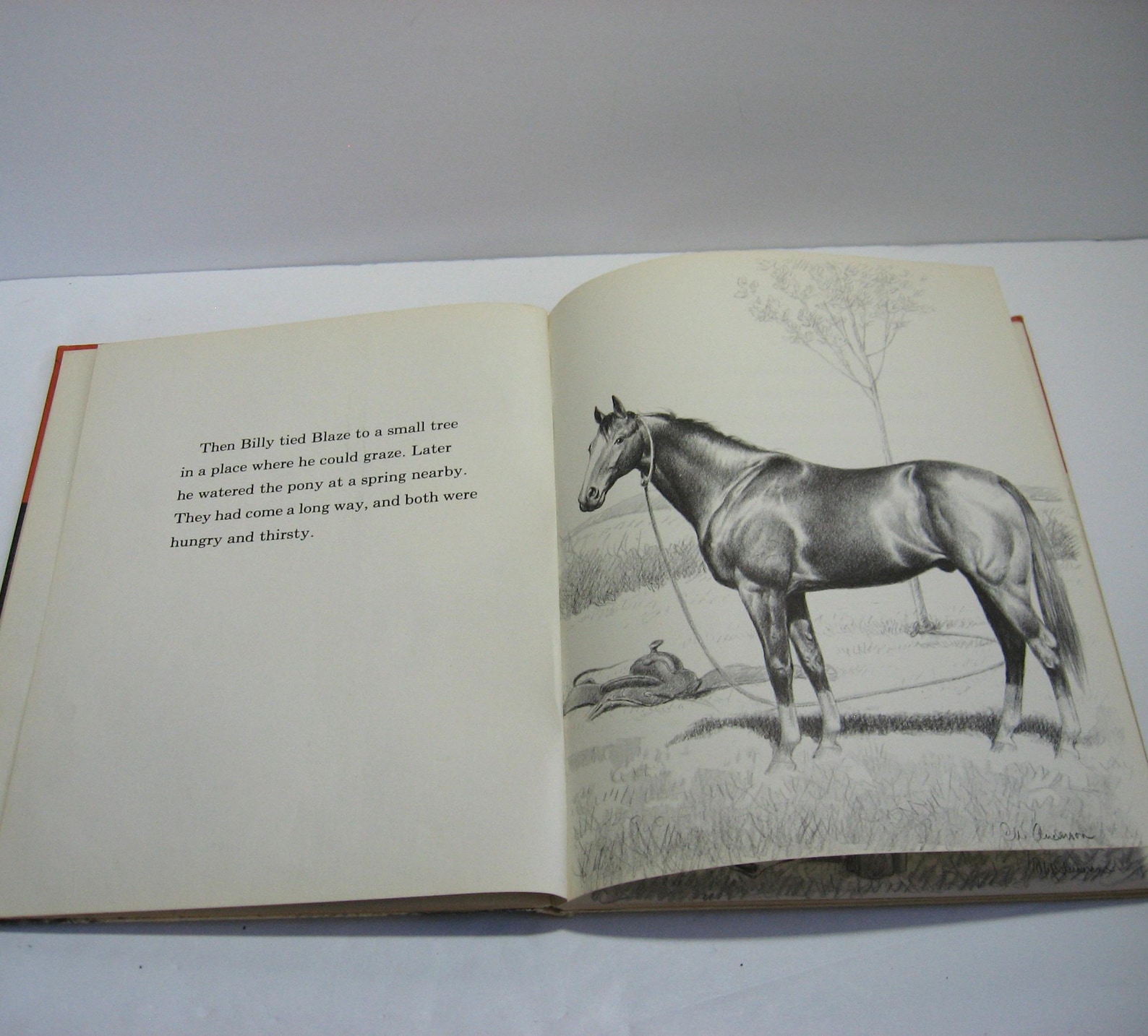 Vintage 1964 Billy and Blaze Book "blaze and the Indian Cave" Story and ...