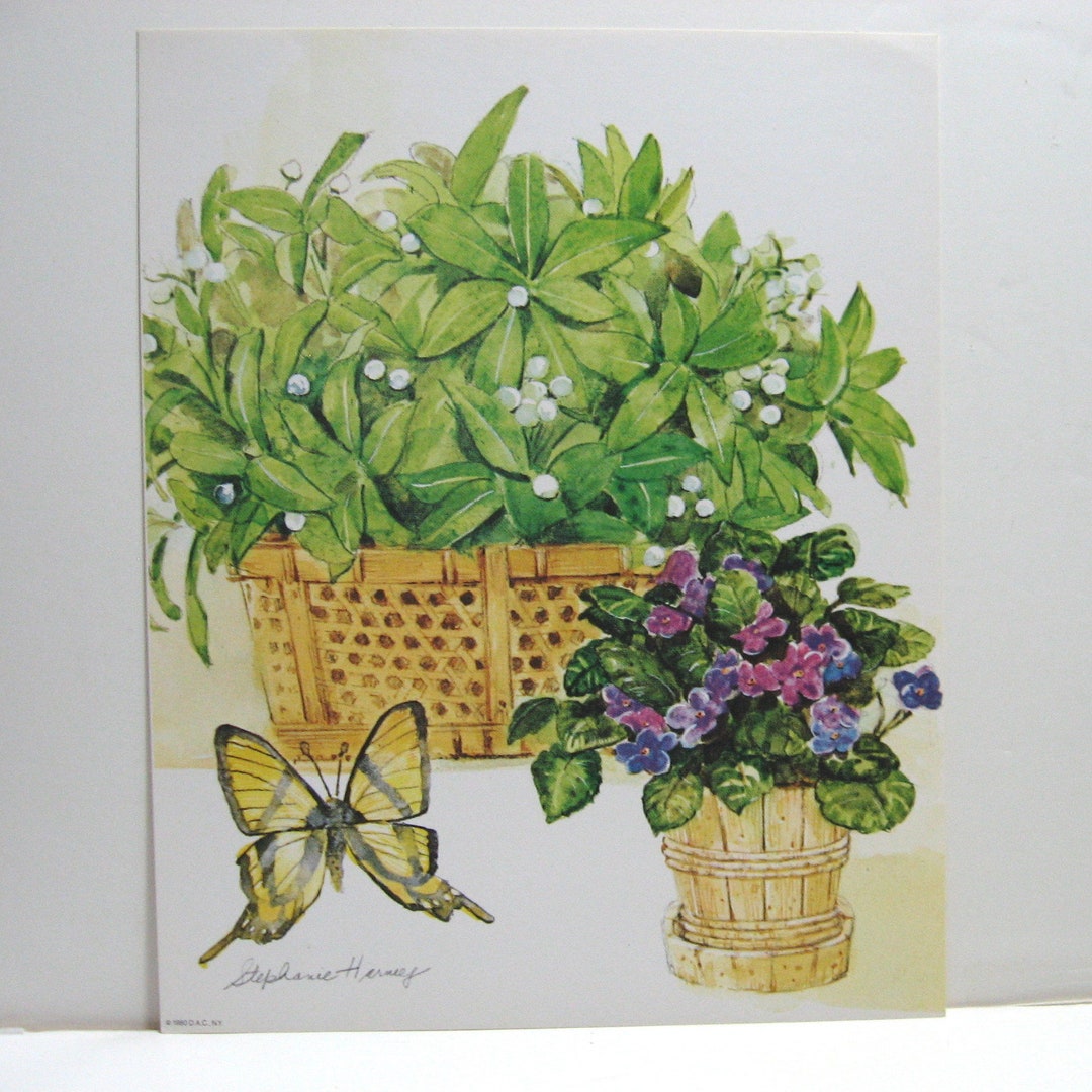Vintage 1980 Stephanie Harney Print, Two Plants in Wicker/wood With a ...