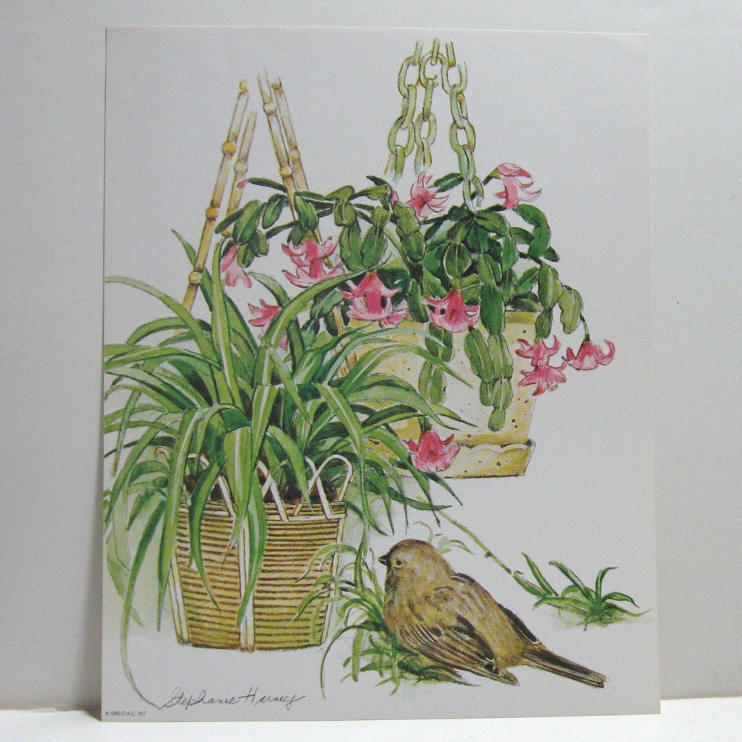 Vintage 1980 Stephanie Harney Print, Two Hanging Plants With a Bird, 8 ...