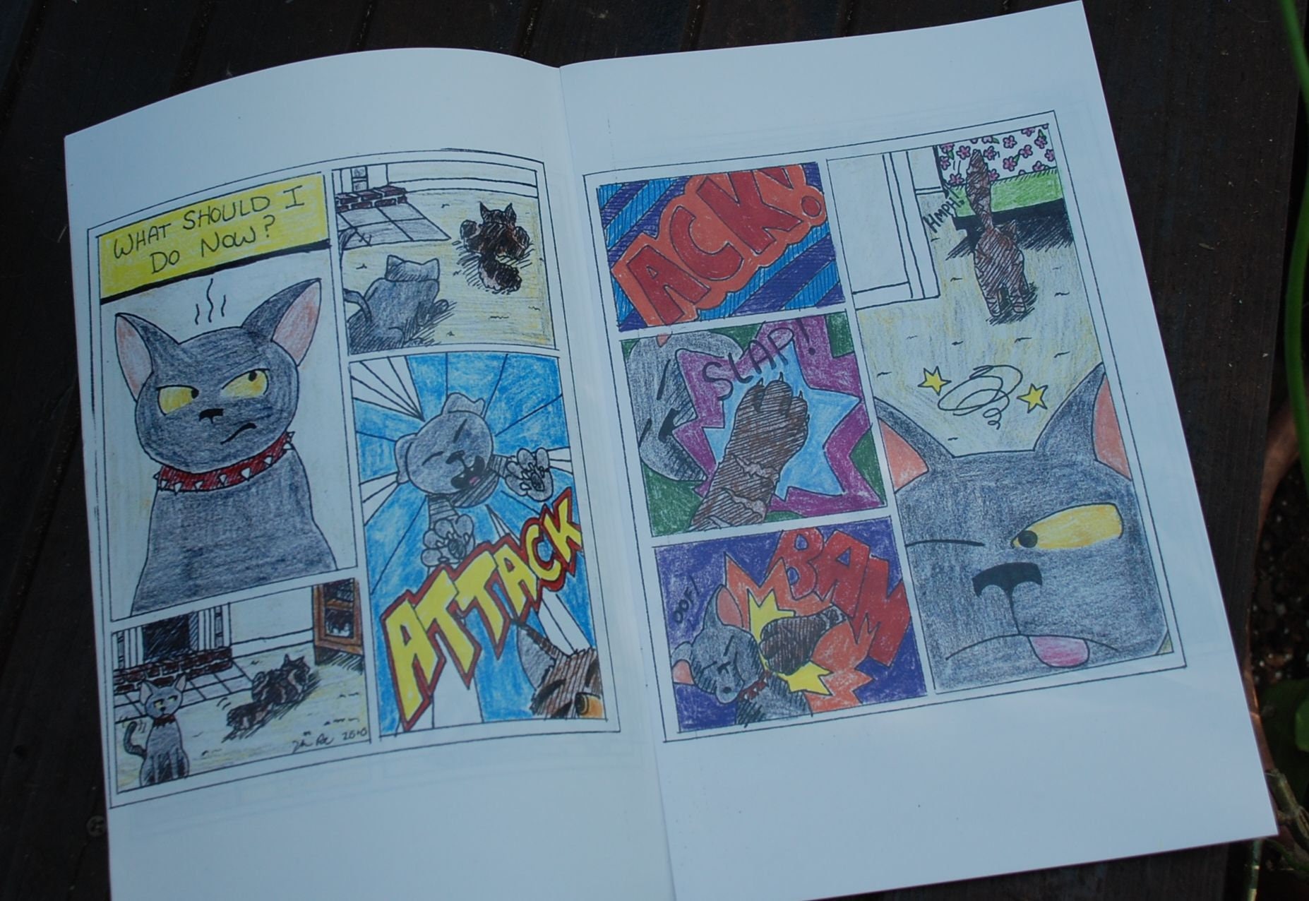 Sam: the Cross-eyed Explorer Volume 1 - Etsy