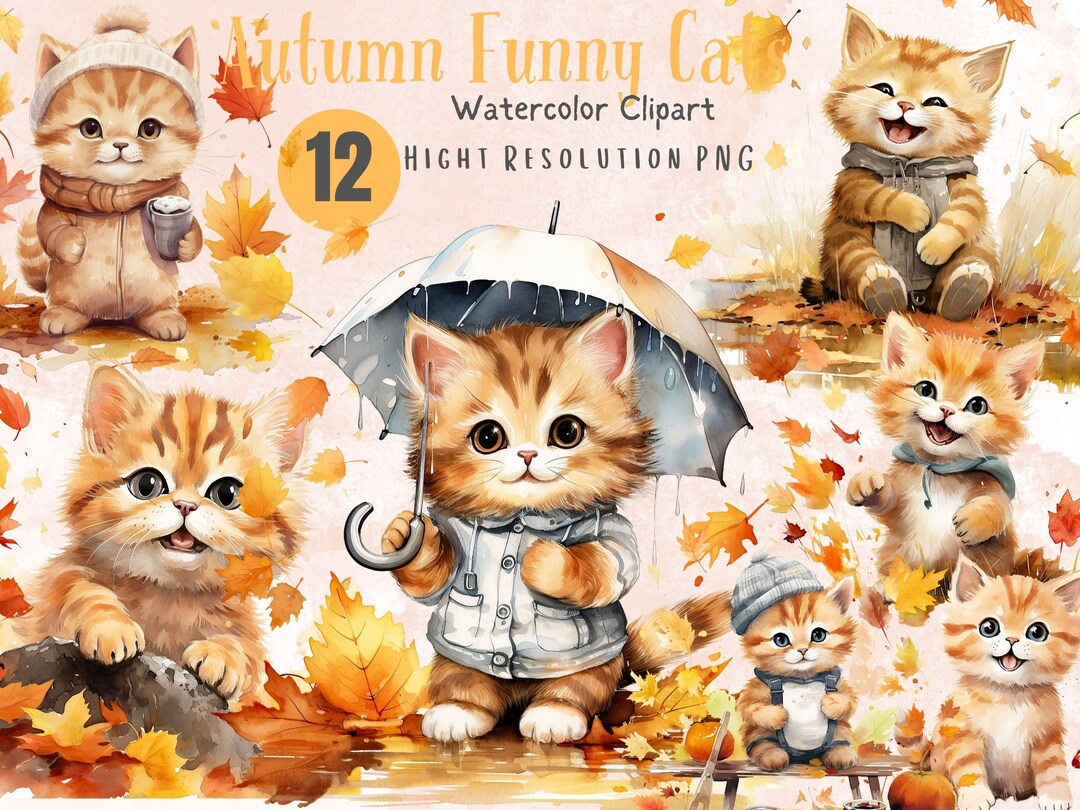 Autumn Funny Cat |, Kitten Smile | Cute Cat Happy | Fall Leaves Autumn ...