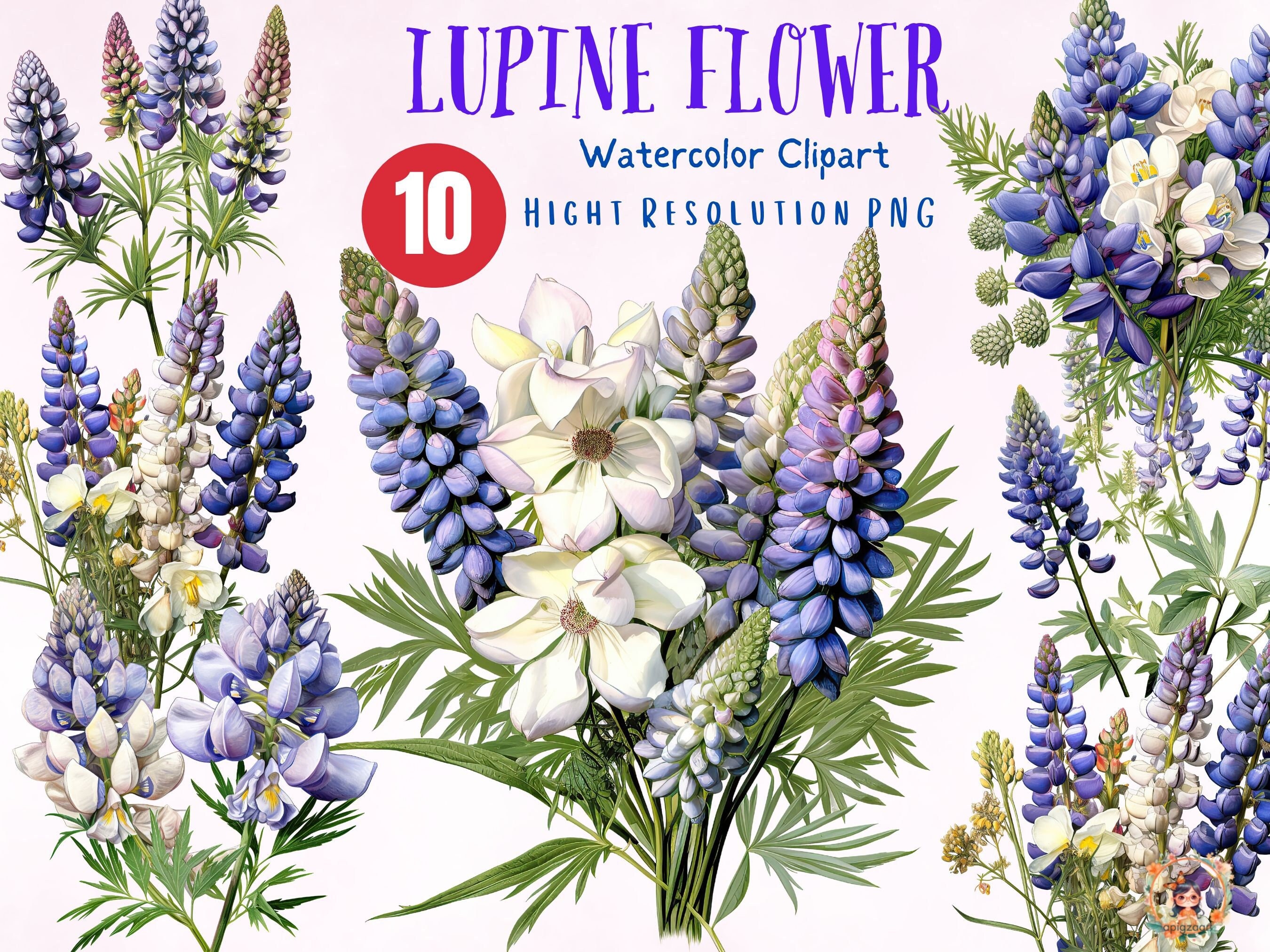 Lupine Flower Drawing